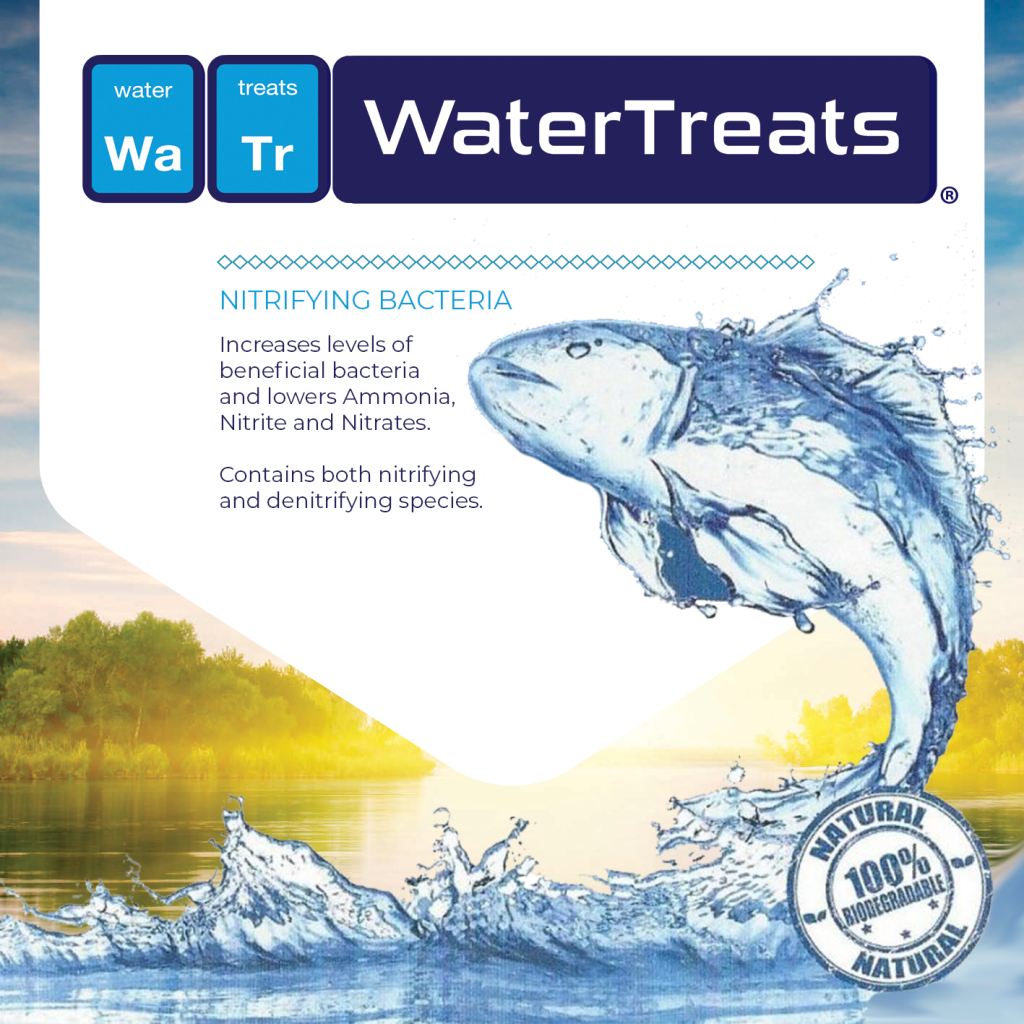 Nitrifying Bacteria (1L) Concentrate - Love My Pond