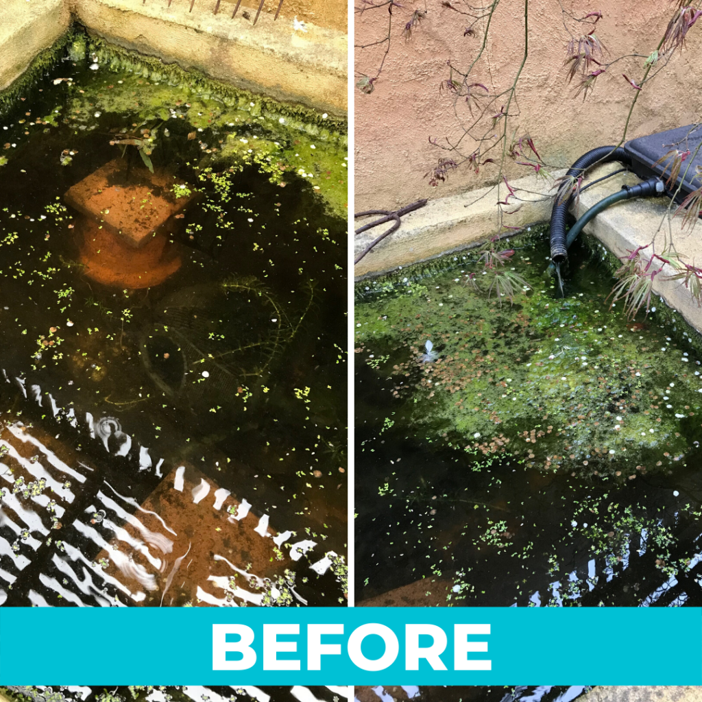 Algae Lift Granular 10kg Pail - Love My Pond