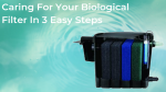 Caring For Your Biological Filter In 3 Easy Steps - Love My Pond