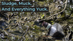 Sludge, Muck, And Everything Yuck - Love My Pond