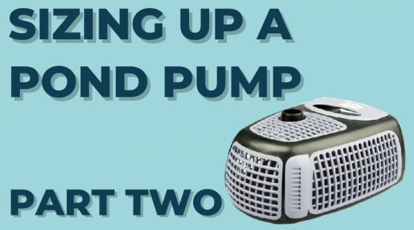 Sizing Up A Pond Pump - Part Two - Love My Pond