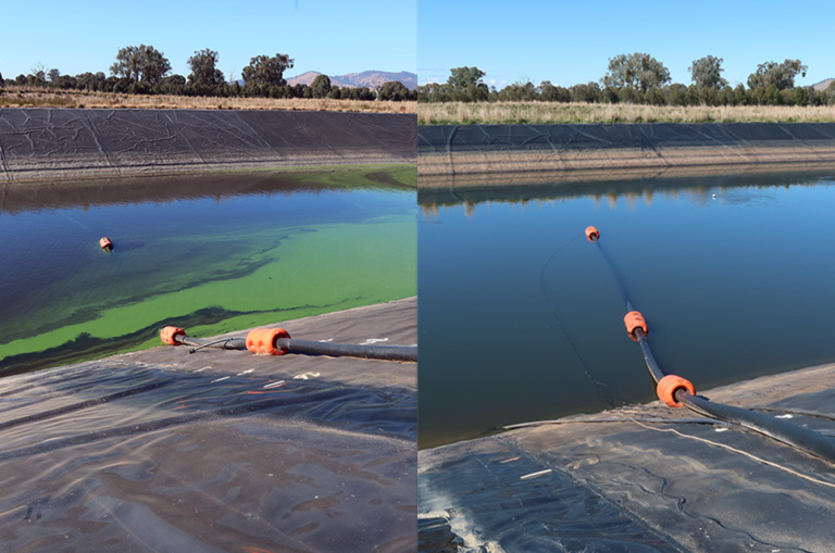 3 x Blue-Green Algae Test Kits - Love My Pond